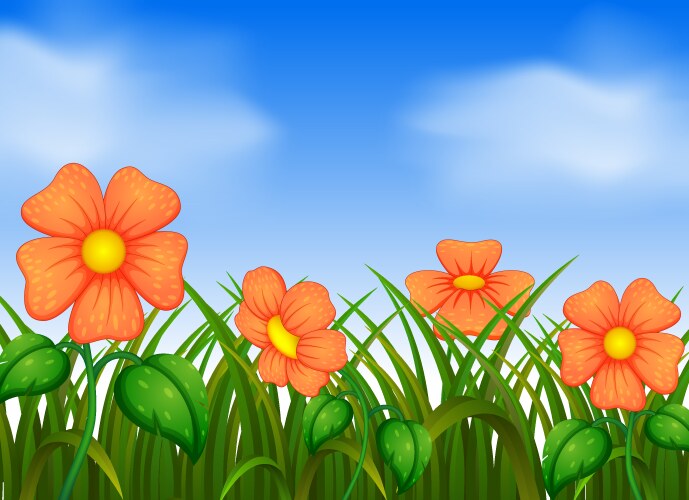 Nature scene with flower garden at sunset Vector Image