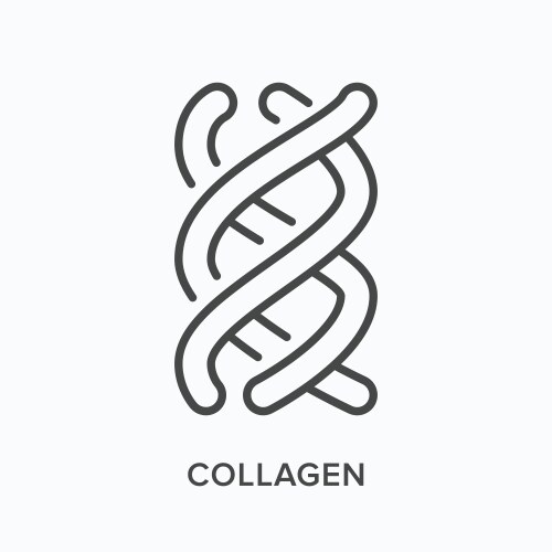 Collagen Vector Images (over 14,000)