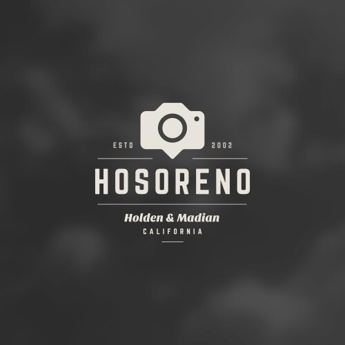 Elegant luxury brand logo design template Vector Image