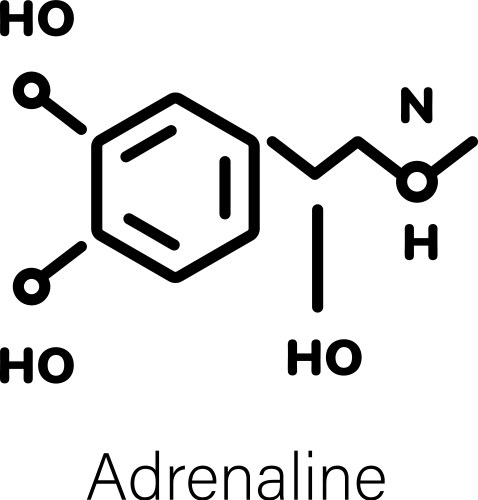 Adrenaline Vector Images (over 11,000)