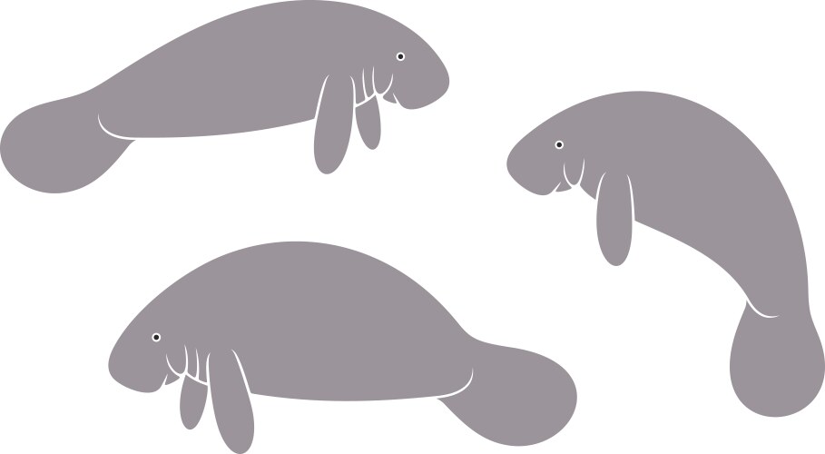 Manatee Logo Vector Images (89)