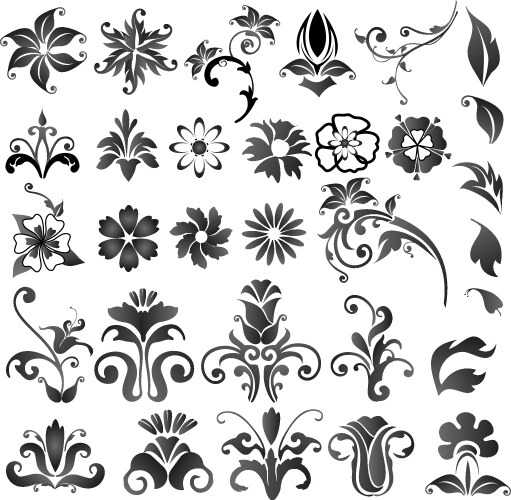 Floral elements Royalty Free Vector Image - VectorStock