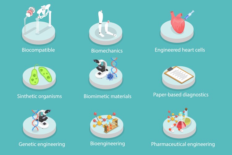 Biomedical Engineering Vector Images (over 1,400)
