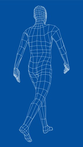 Wireframe walking man Royalty Free Vector Image