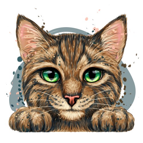 Kitten Vector Images (over 130,000)
