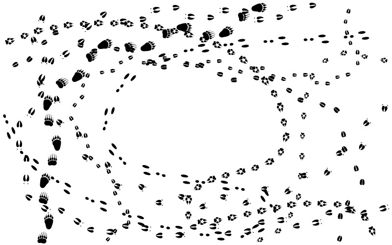 Rabbit Tracks Vector Images (over 960)