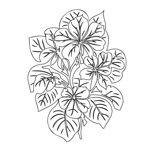 Hydrangea Outline Vector Images (over 2,400)