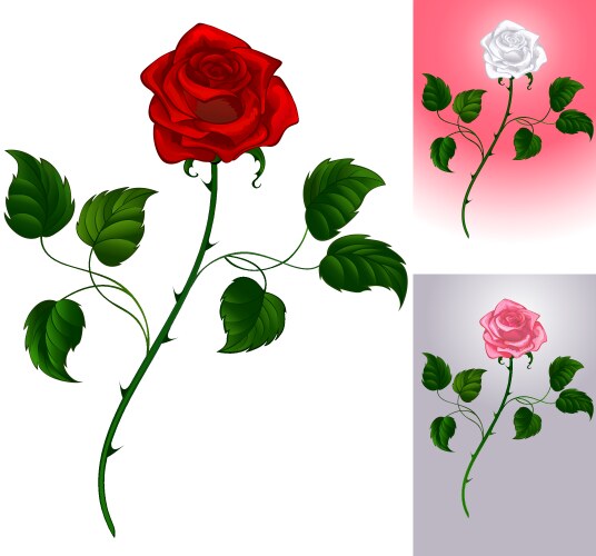 Rose Stylized Vector Images (over 5,500)