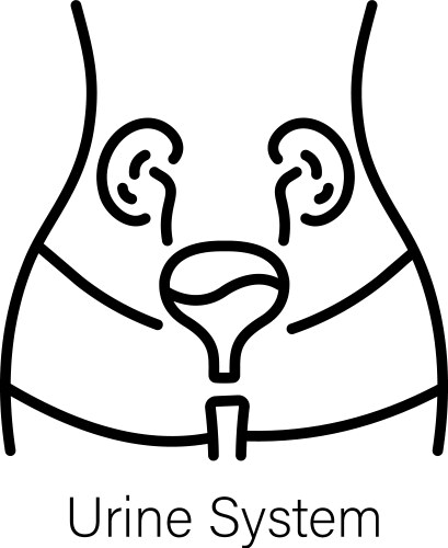 Urine Vector Images (over 11,000)