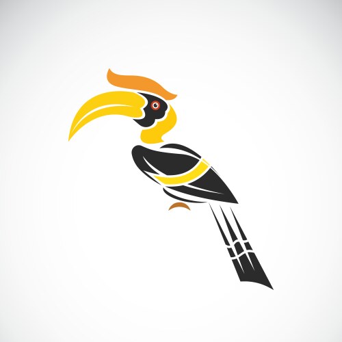 Hornbill Logo Colorful Hornbill Logo Design Template 5462369 Vector