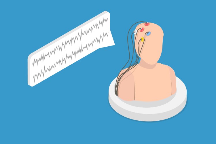 Eeg Vector Images (over 940)