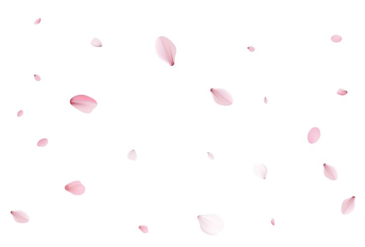 Sakura Vector Images (over 35,000)