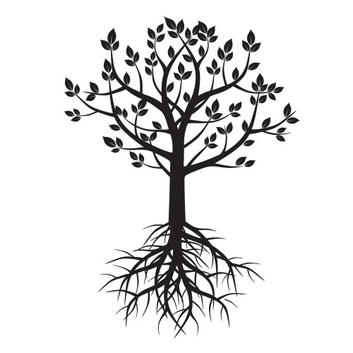 Tree Roots Black and White Vector Images (over 8,400)