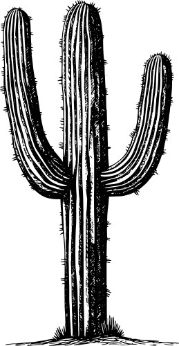 Saguaro Vector Images (over 2,600)