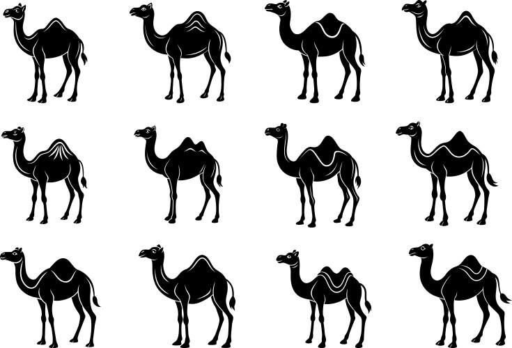 Camel Vector Images (over 20,000)