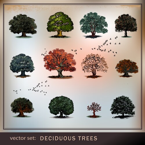 Trees Vector Images (over 1.4 million)
