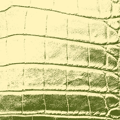 Crocodile leather texture exotic animal skin art Vector Image