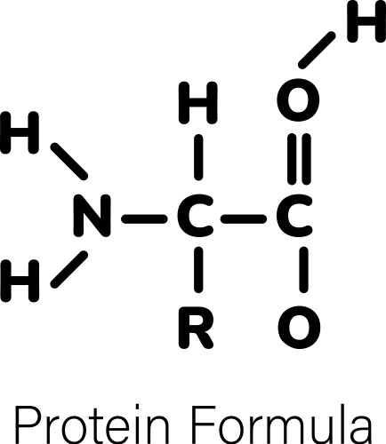 Perspective formula Royalty Free Vector Image - VectorStock