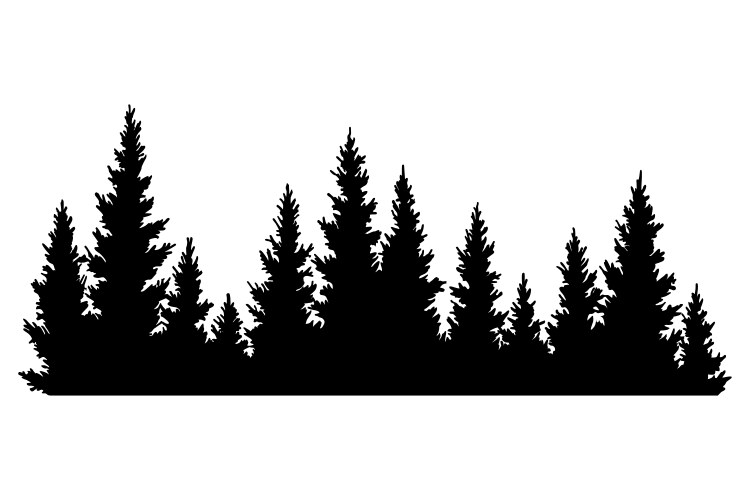 Fir trees silhouette coniferous spruce horizontal Vector Image