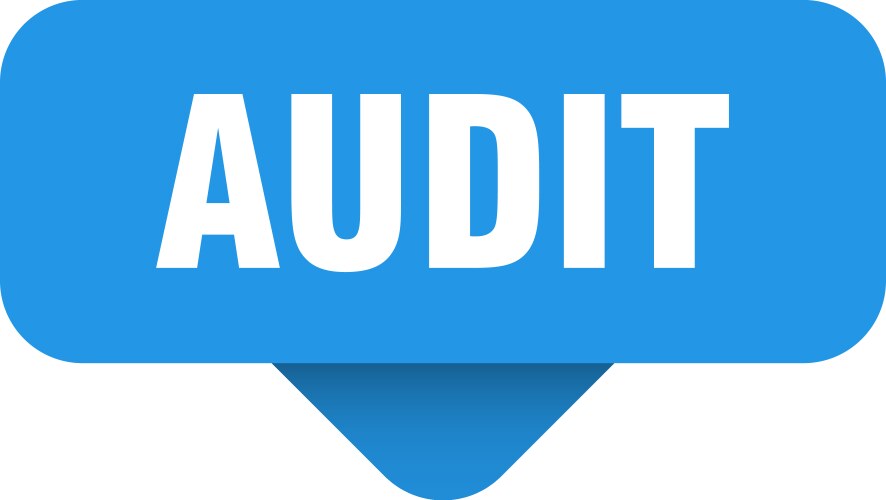 Audit sticker sign on transparent background Vector Image