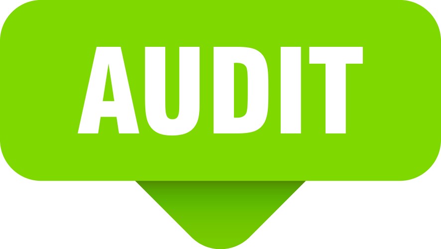 Audit sticker sign on transparent background Vector Image