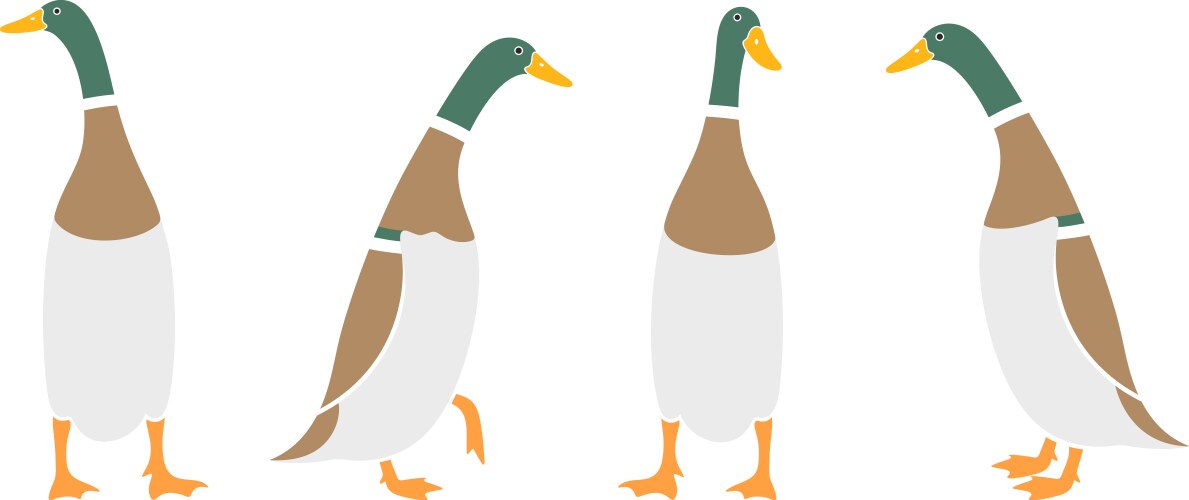 Runner Royalty Free Vector Image - VectorStock