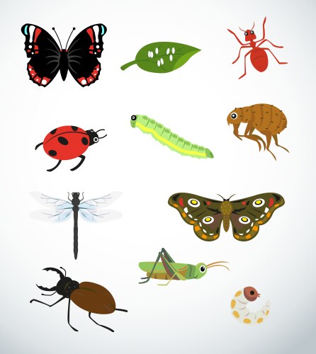 Cute new born animals in eggs easter farm holiday Vector Image