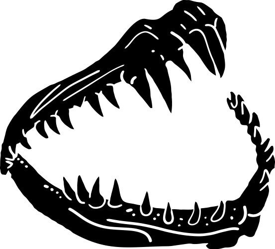 Shark Jaw Detail Royalty Free Vector Image - VectorStock