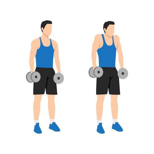 Shoulder shrugging exercise neck tension Vector Image