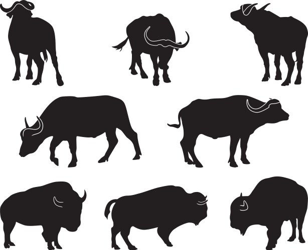 Buffalo Outline Vector Images (over 5,000)