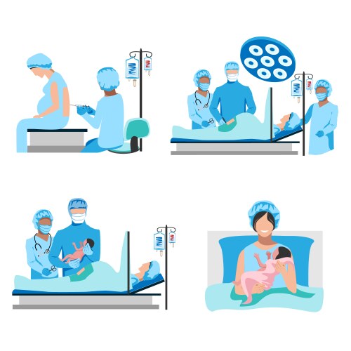 Cesarean section Royalty Free Vector Image - VectorStock