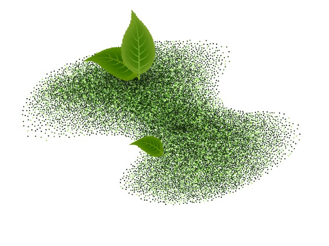 Leaf Png Vector Images (over 1,700)