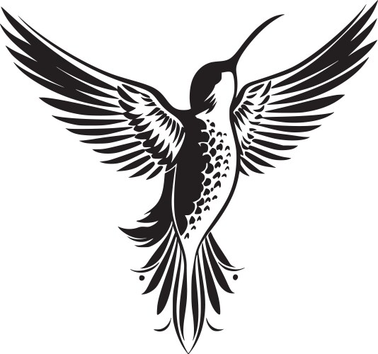 Black and White Hummingbird Vector Images (over 4,300)