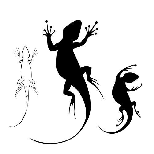 Lizard Royalty Free Vector Image - VectorStock