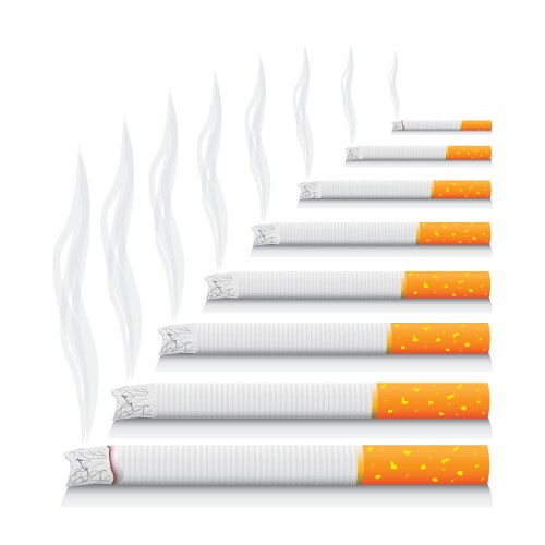 Burning cigarettes Royalty Free Vector Image - VectorStock