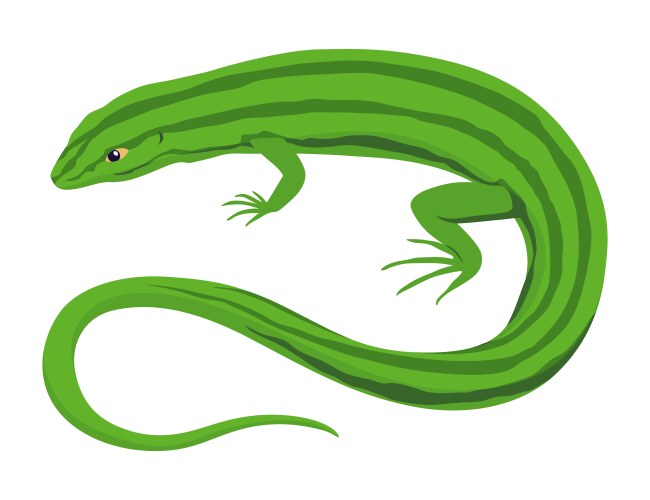 Newt Icon Vector Images (over 340)