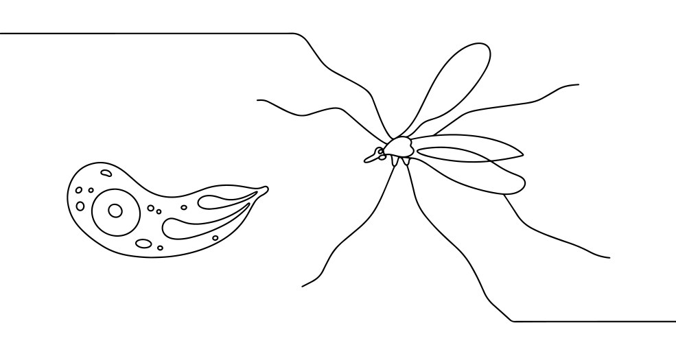 Parasite Sketch Vector Images (over 550)