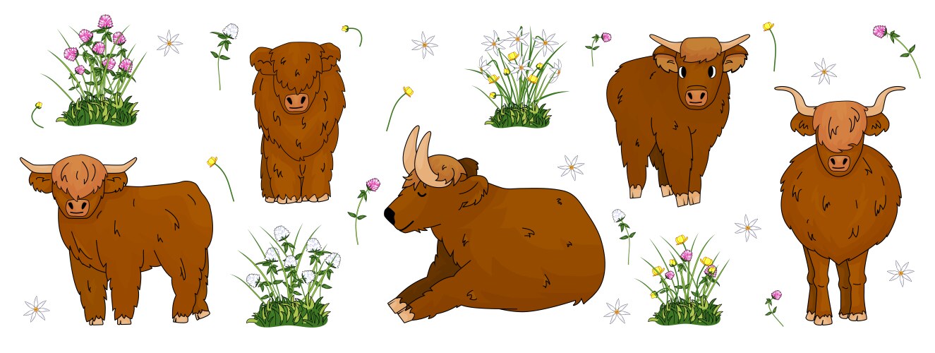 Highland Cow Cartoon Vector Images (over 610)
