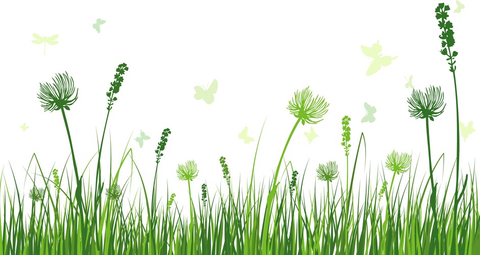 Green grass meadow Royalty Free Vector Image - VectorStock