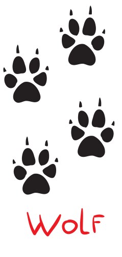 Wolf paw prints track Royalty Free Vector Image