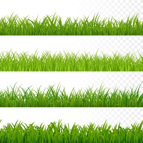 Green Border Vector Images (over 150,000)