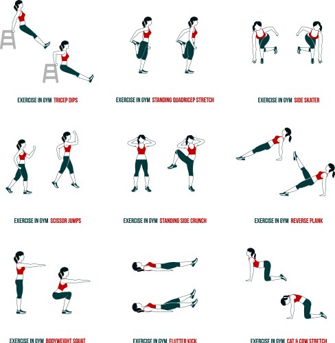 Woman workout fitness aerobic and exercises Vector Image