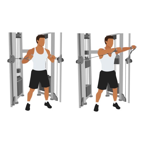 Chest Press Vector Images (over 970)