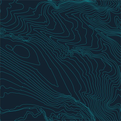 Modern detailed digital ui topographic map Vector Image