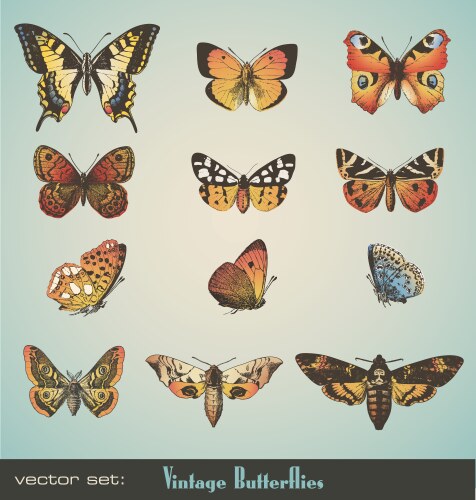 Butterflies Vector Images (over 180,000)