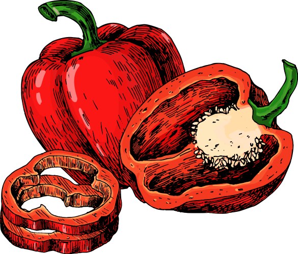 Capsicum Outline Vector Images (over 1,100)