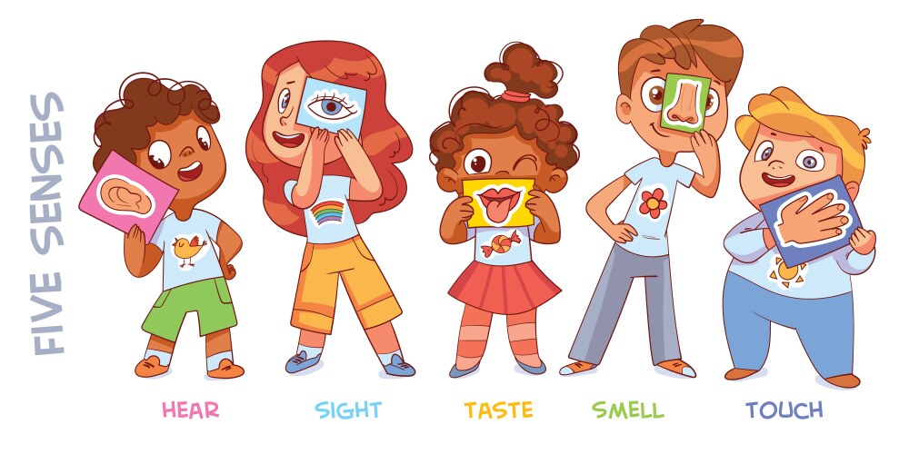 Five senses body parts Royalty Free Vector Image