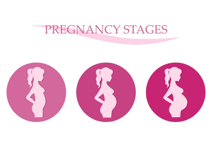 Pregnancy And Birth Infographics Icon Set Vector Image