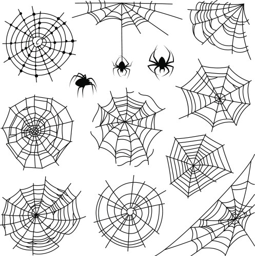 Halloween spiderweb black cobweb and spider Vector Image