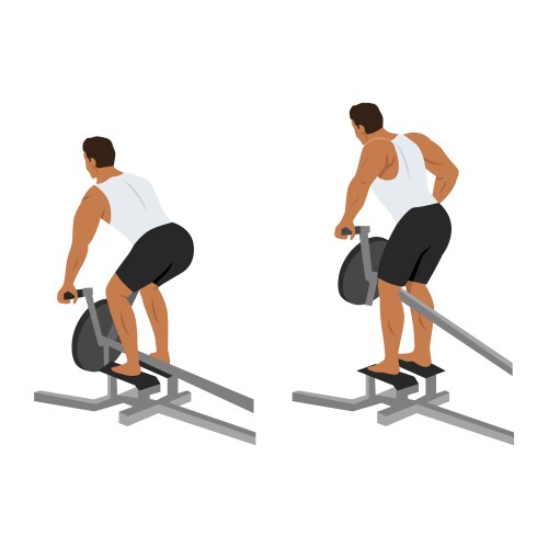 Man doing back extensionshyperextensions exercise Vector Image